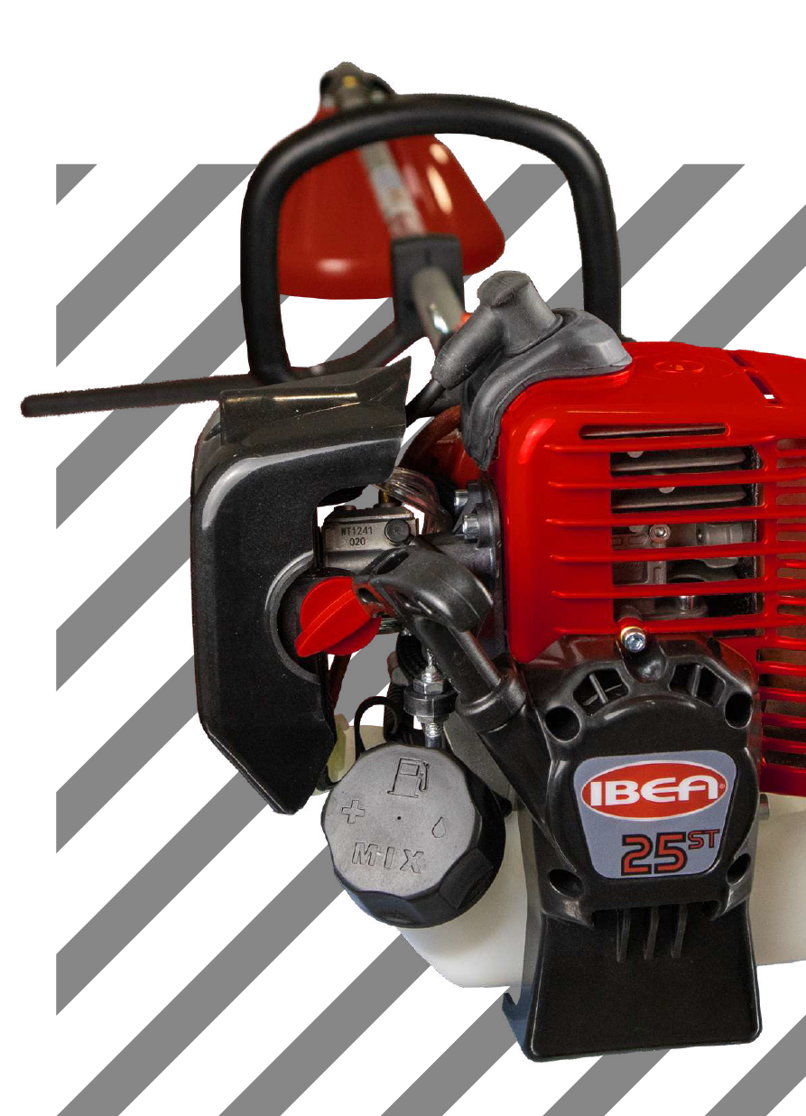 Ampliamento della Gamma Prodotti - Ibea